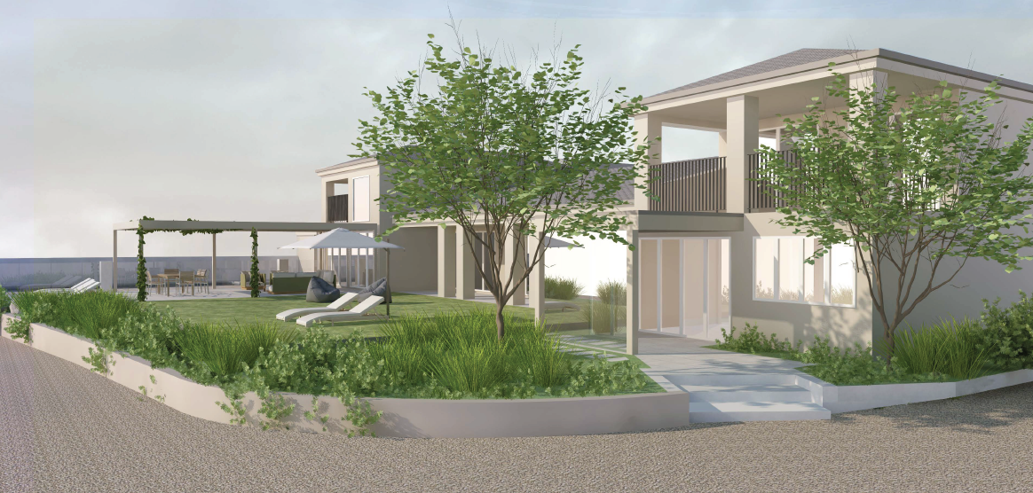 The Estate – Allpress Olive Groves